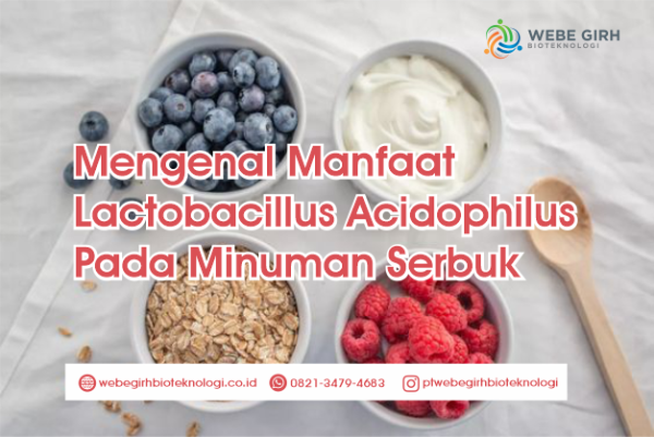 Mengenal Manfaat Lactobacillus Acidophilus Pada Minuman Serbuk - PT ...