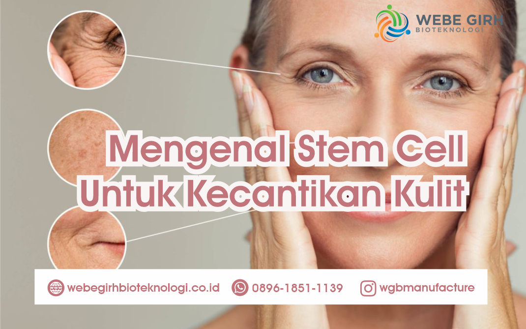 Mengenal Stem Cell Atasi Penuaan Kulit Berbagai Usia Pria & Wanita