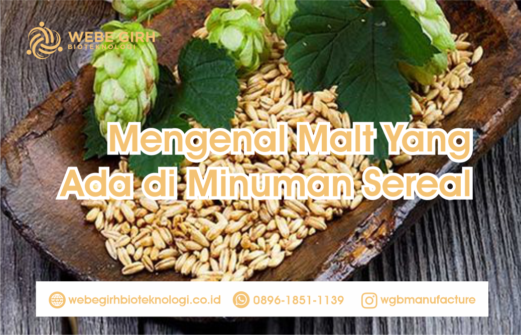 Bahan Malt Bermanfaat Untuk Pembuatan Minuman Sereal