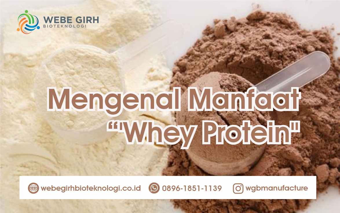 Mengenal Minuman Whey Protein Sebagai Suplemen Pembentuk Otot