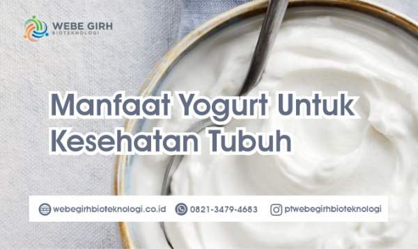 Manfaat Yogurt Untuk Kesehatan Tubuh - PT WEBE GIRH BIOTEKNOLOGI